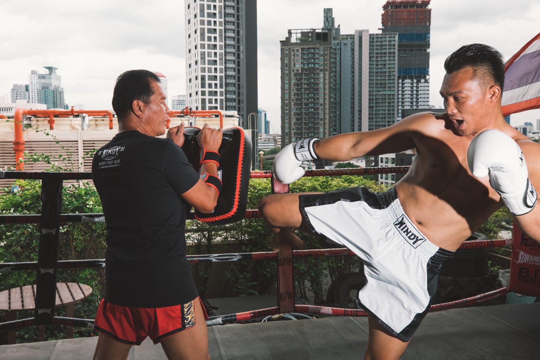 Sale | Discount | New Releases | Windy Fight Gear