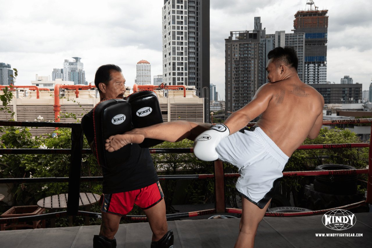 Kicking Pads | Windy Fight Gear
