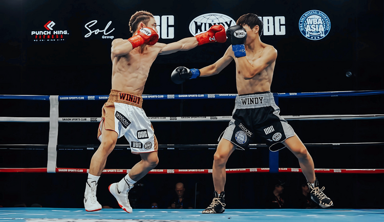 Windy Fight Gear ® | Official Website | Brand of Legends & Champions