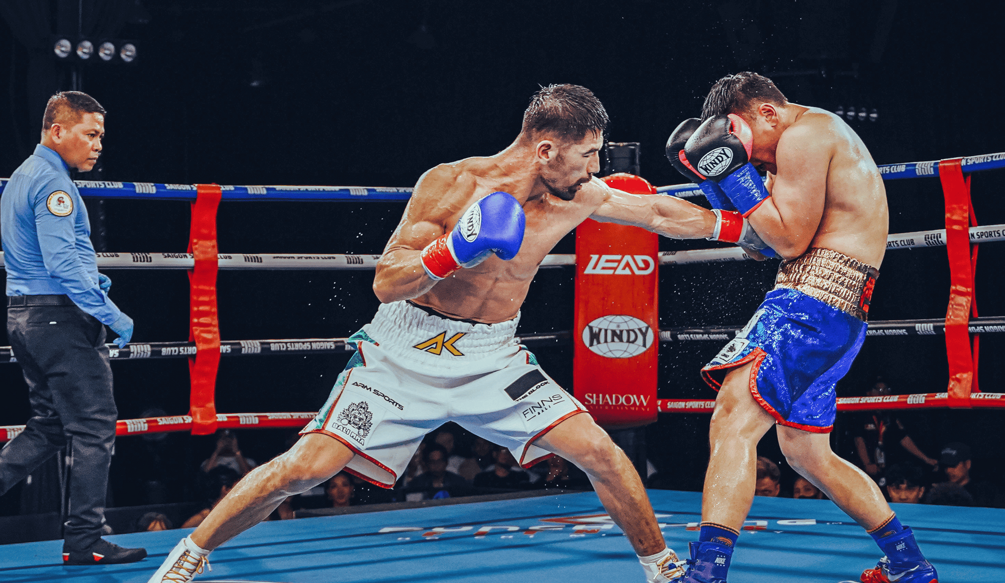 Windy Fight Gear ® | Official Website | Brand of Legends & Champions